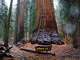 National Park Service removes Robert E. Lee’s name from giant sequoia