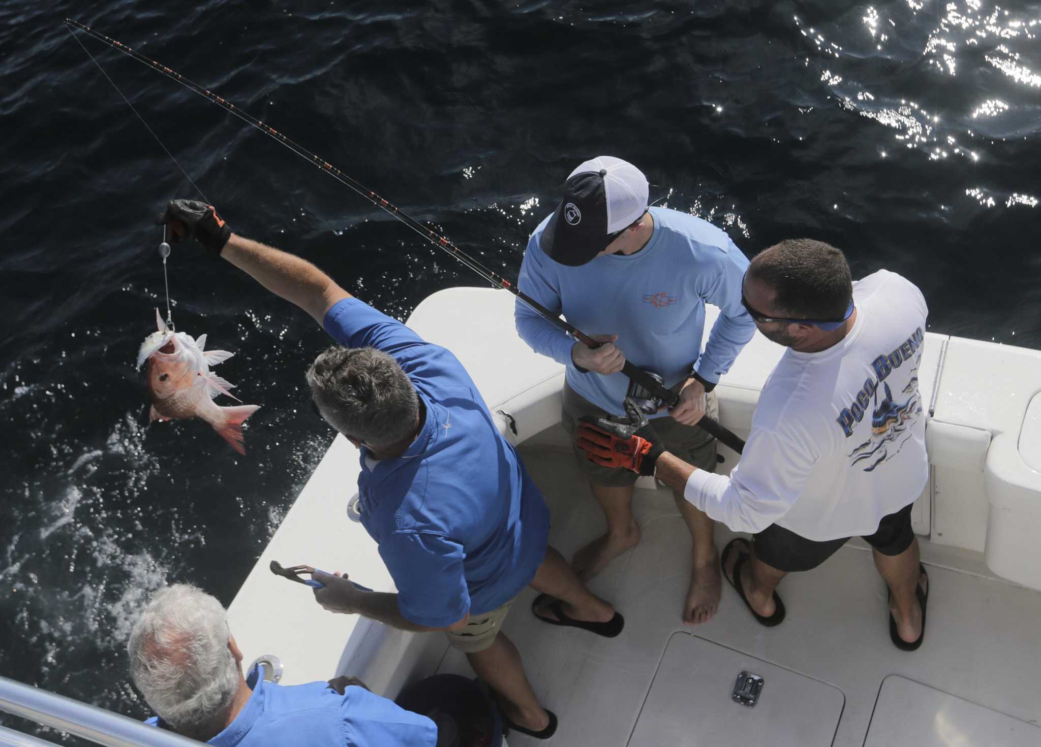 Red snapper: A conservation success story