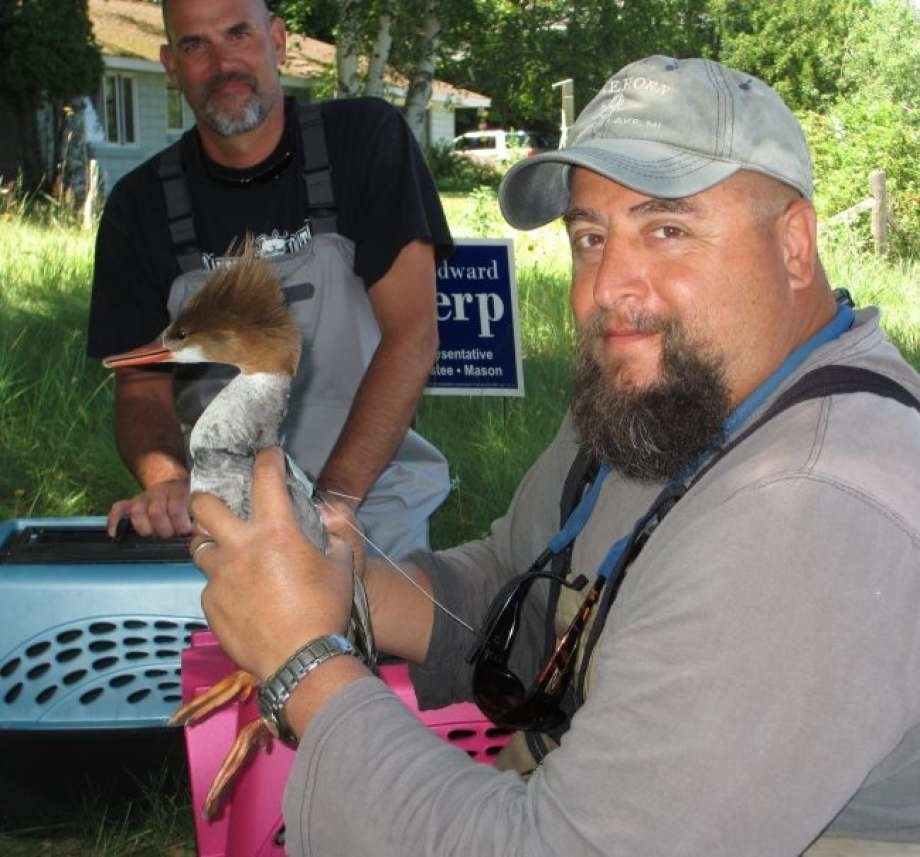 Benzie County officials back program to combat swimmer's itch