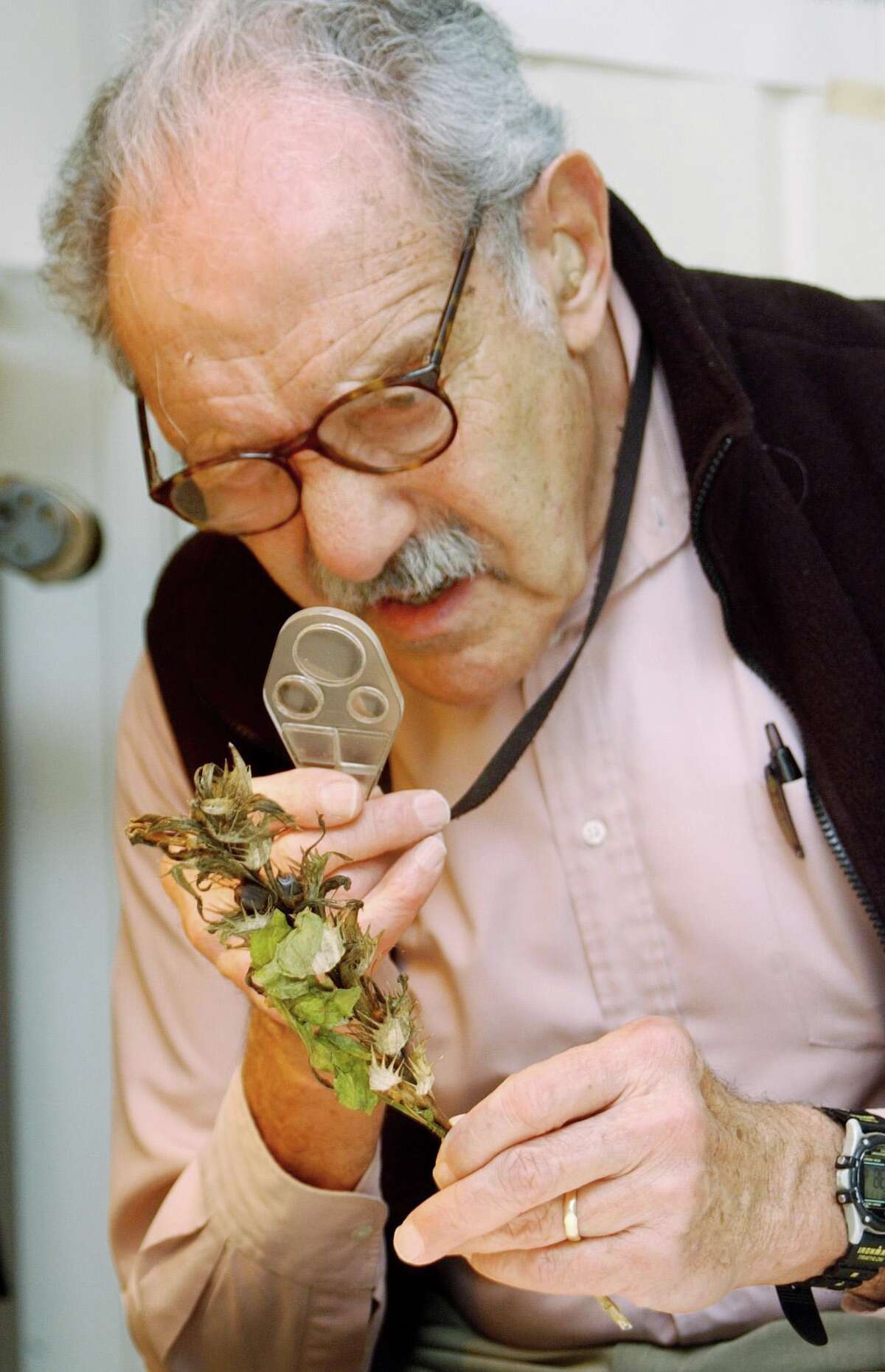 At 95, Dick Rauh remain a master of botanical art