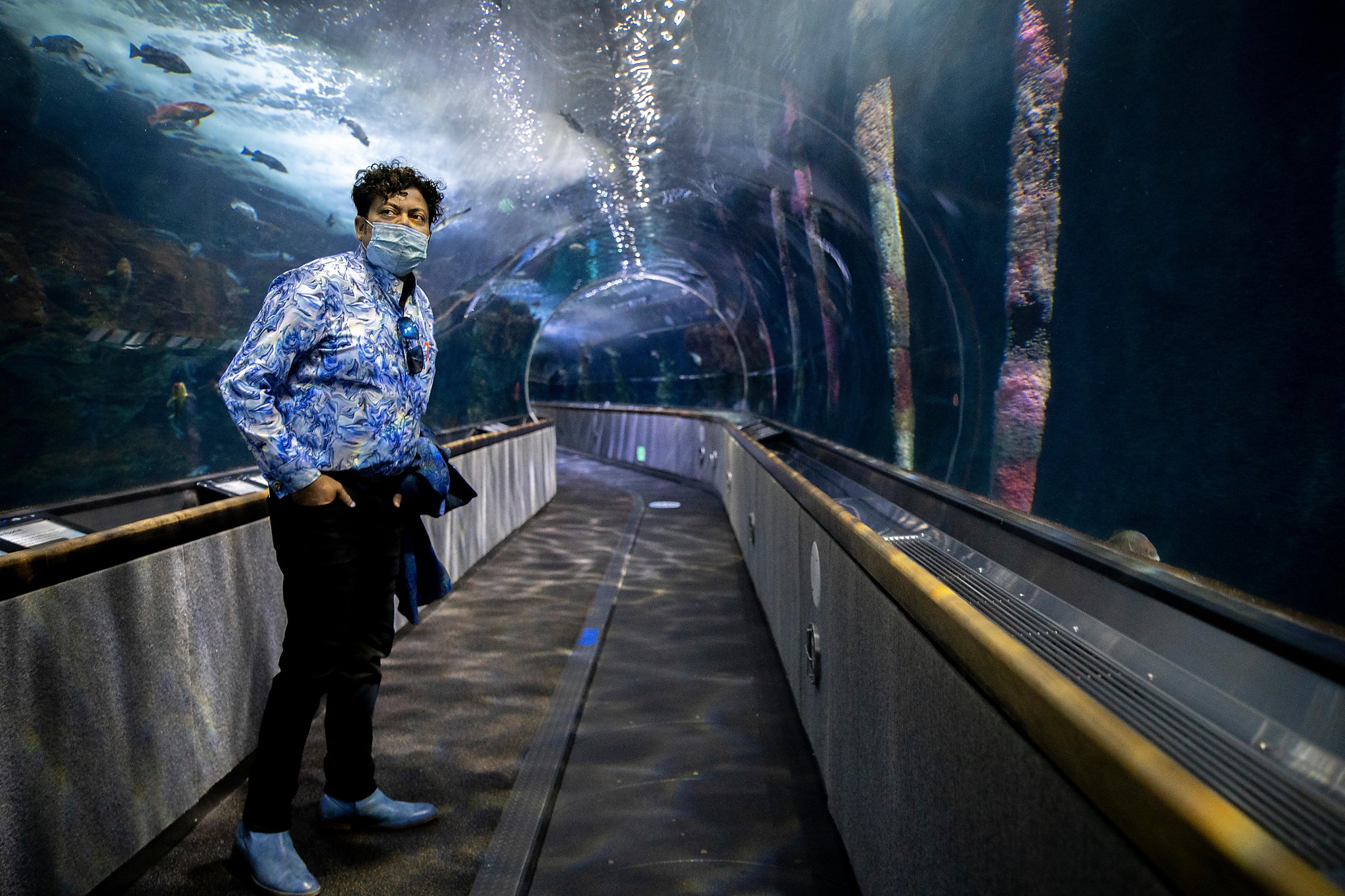 ‘You can’t furlough the animals’: SF Zoo and two aquariums are in ...