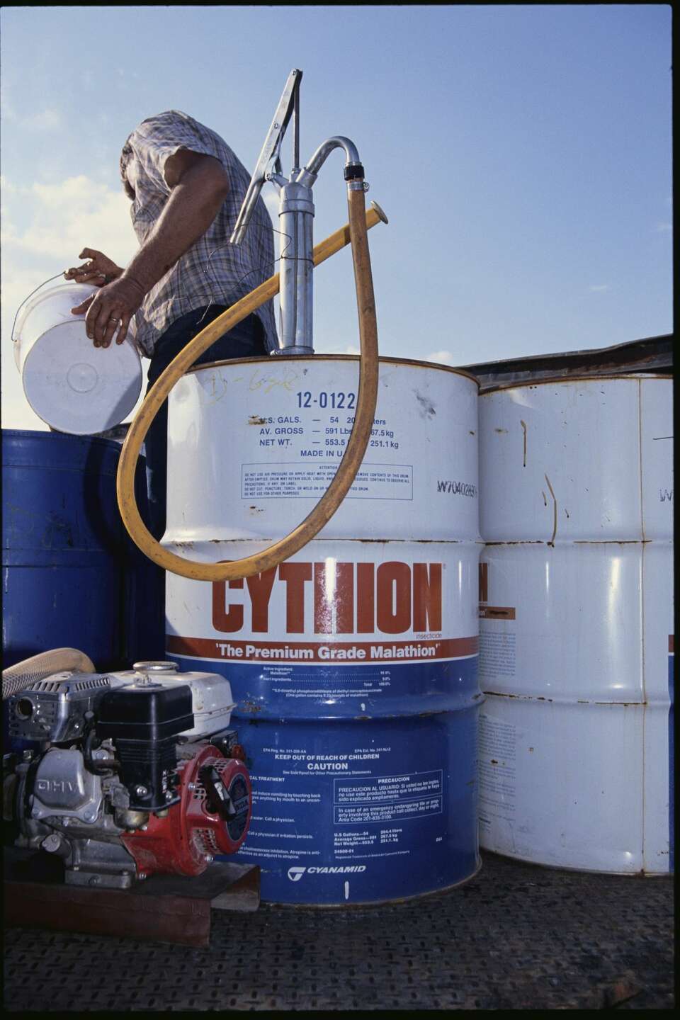 Who were 'The Breeders' and were they responsible for California's ...