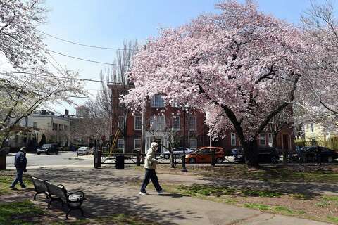 25+ things to do in Connecticut this weekend, April 14-16