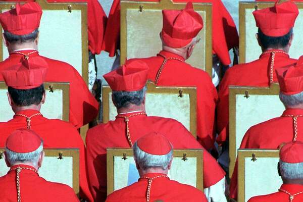 S.A.’s Common Critters: Cardinals shine with character and symbolism in ...