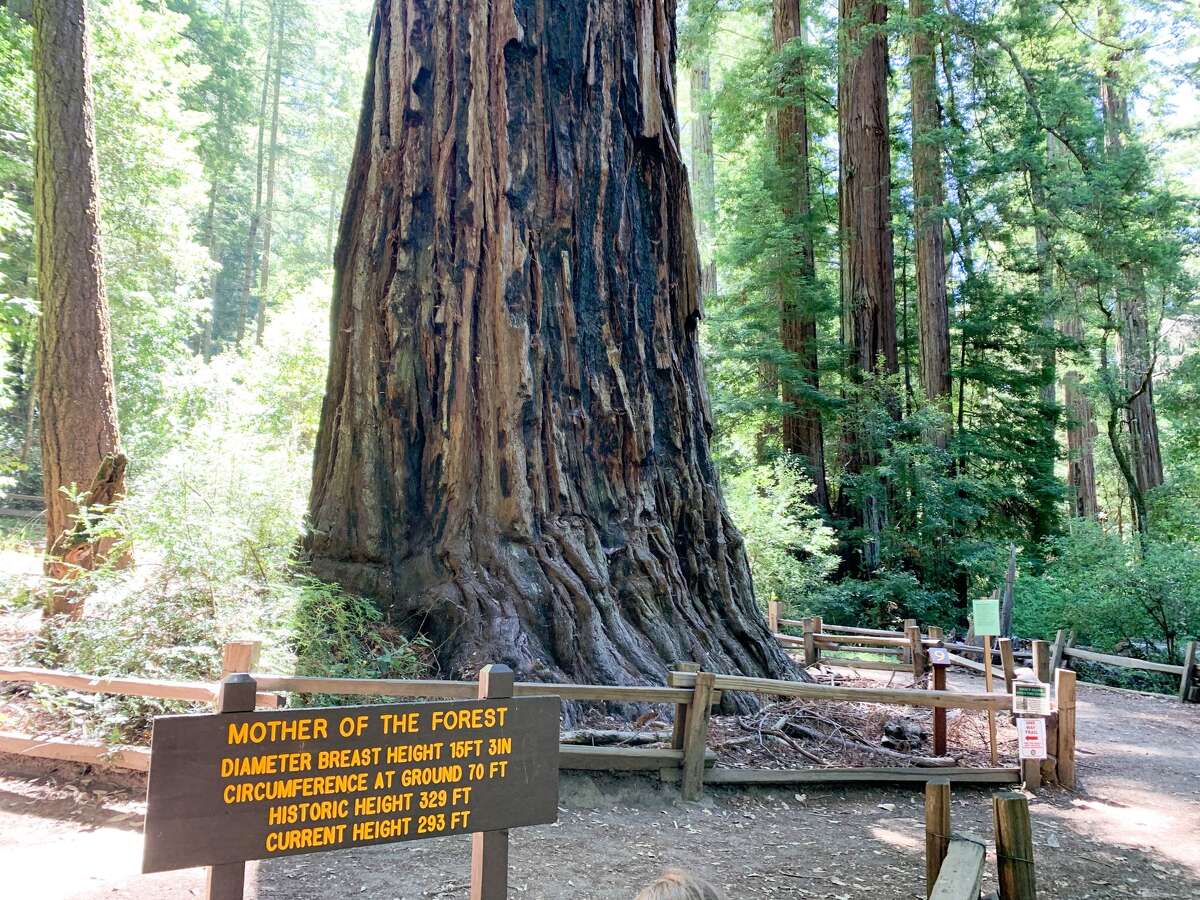 Fire wipes out Big Basin State Park's historic buildings