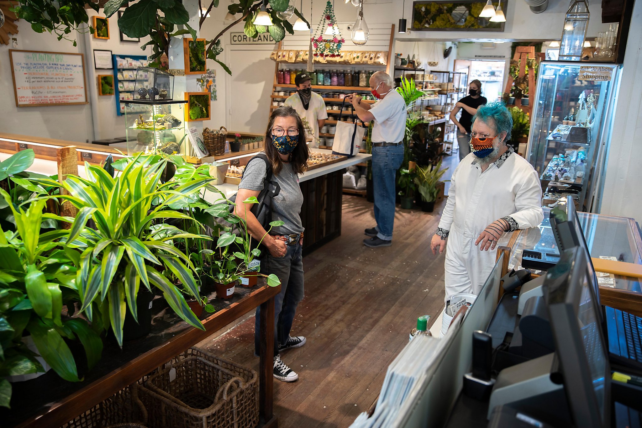 For Bay Area plant shops, business blooms amid pandemic