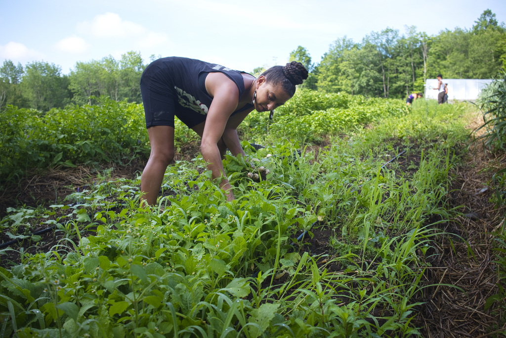 Soul Fire Farm, farming for social justice, plans to expand