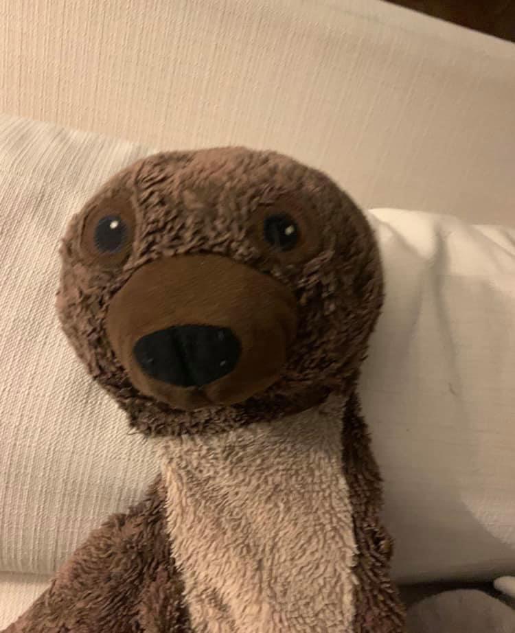 Have you seen this guy? Special toy missing