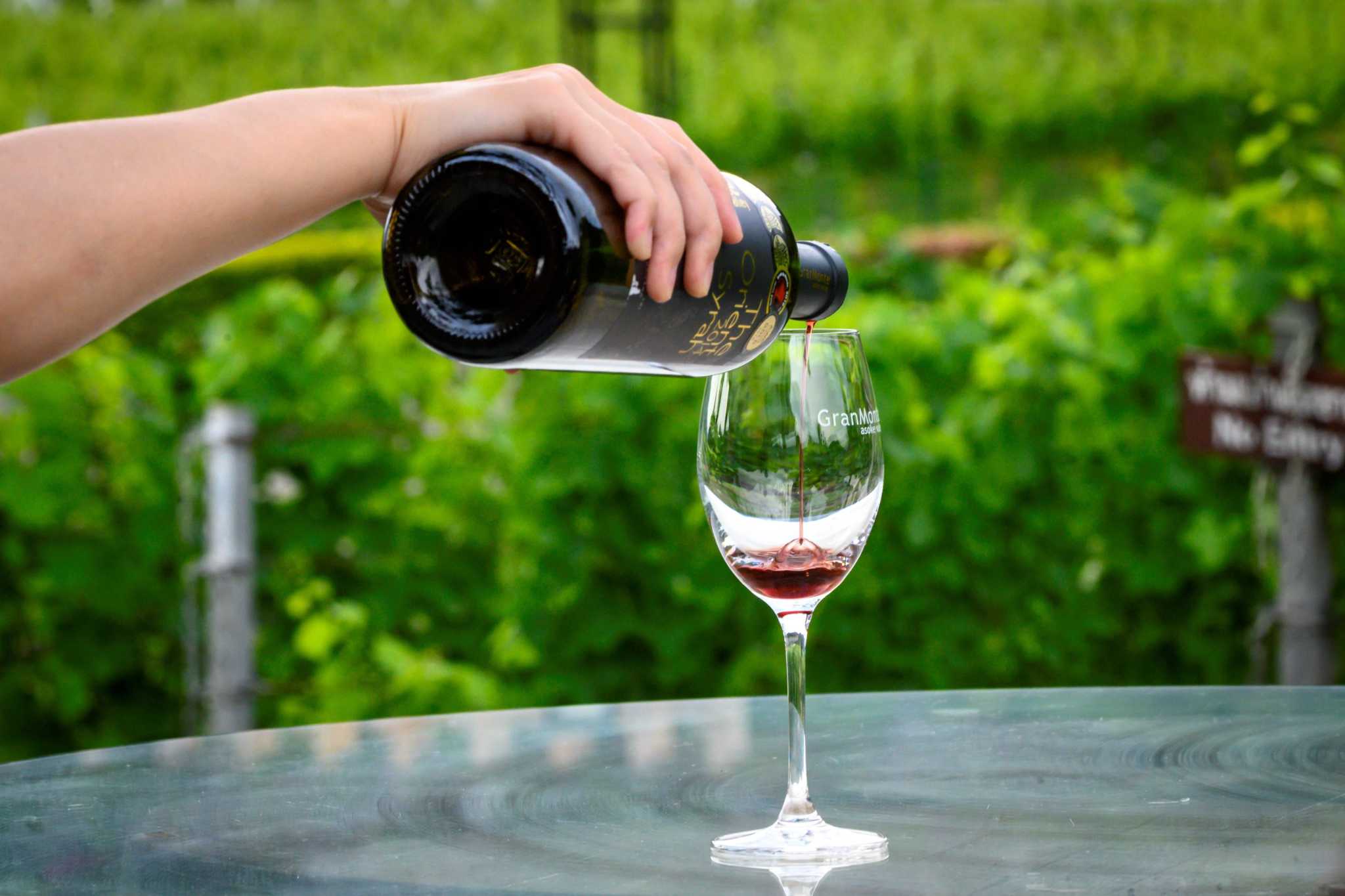 Wine recommendations from our tasting panel