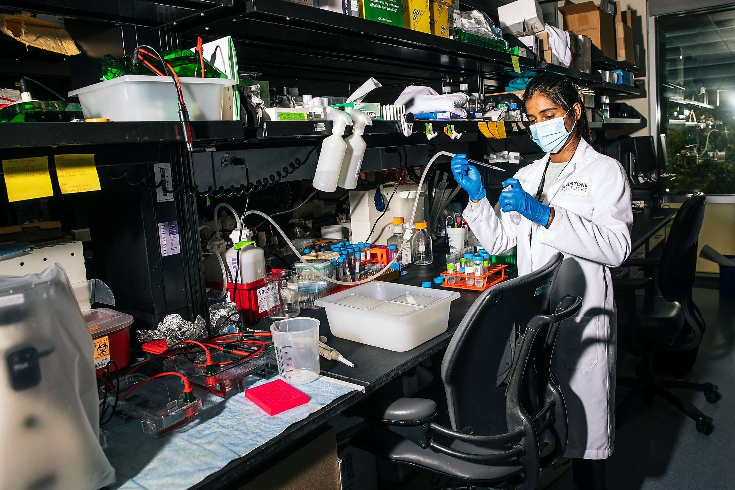 Studies show coronavirus antibodies may fade fast, raising questions about vaccines