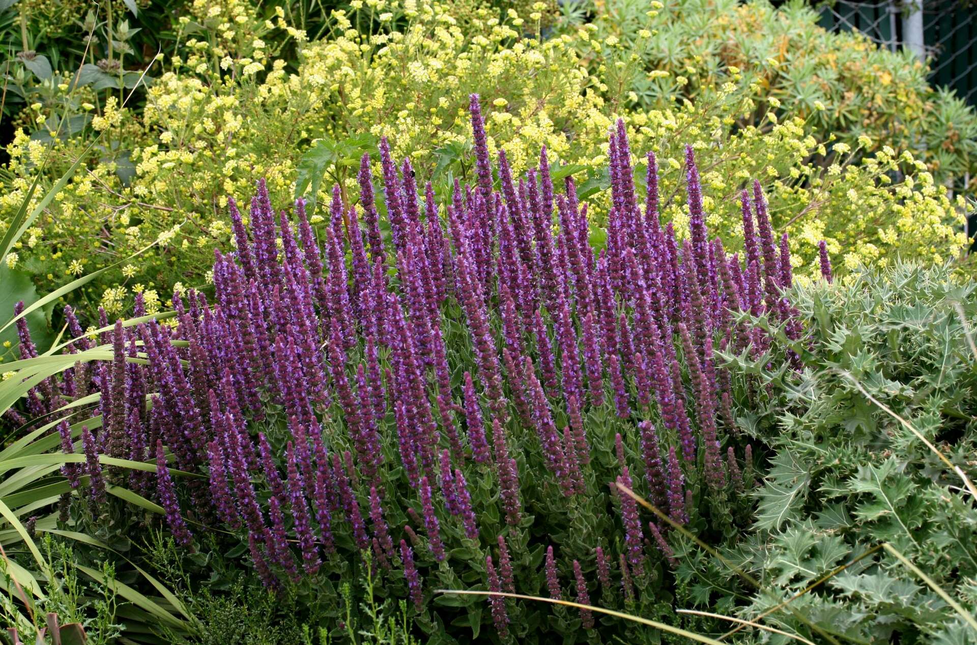 The hottest Texas landscaping trends for 2020