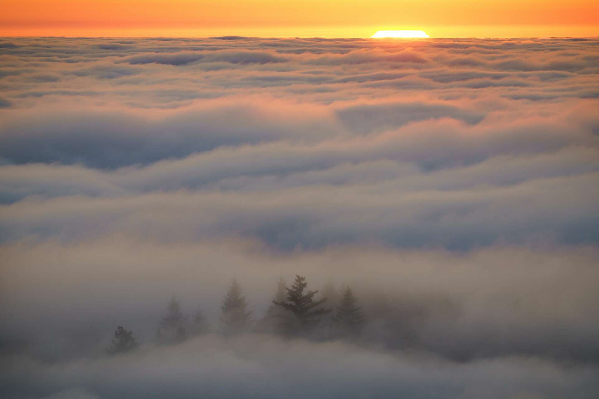 When will the Bay Area get a break from the fog?