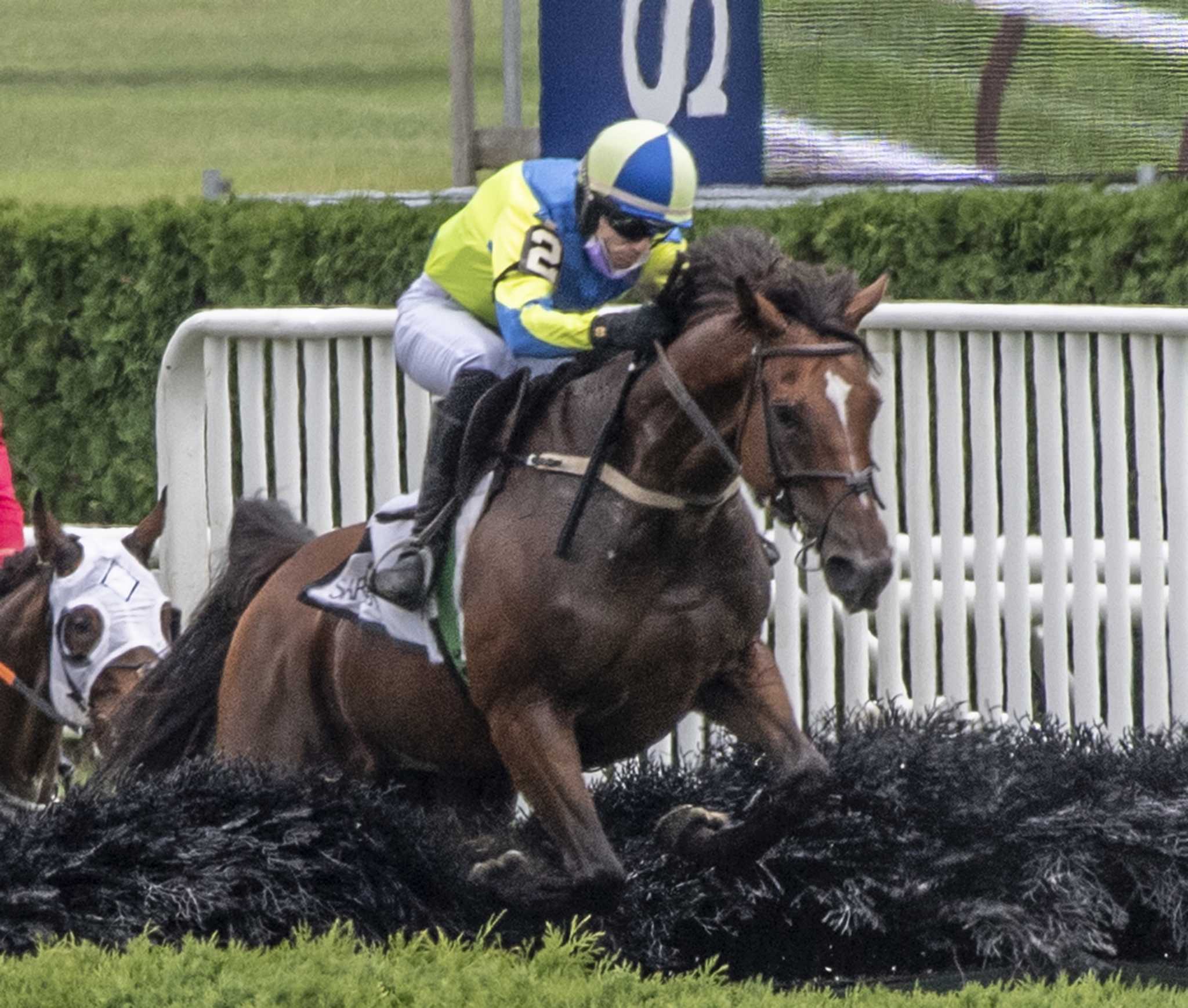 Snap Decision favorite for Jonathan Sheppard, if he runs