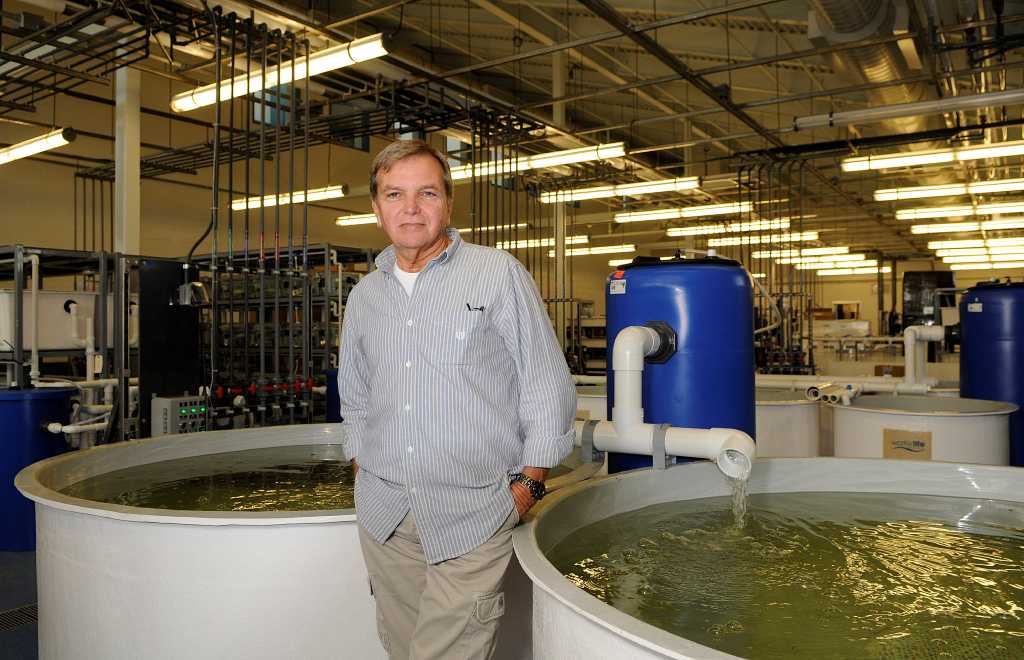 School (of fish) in session