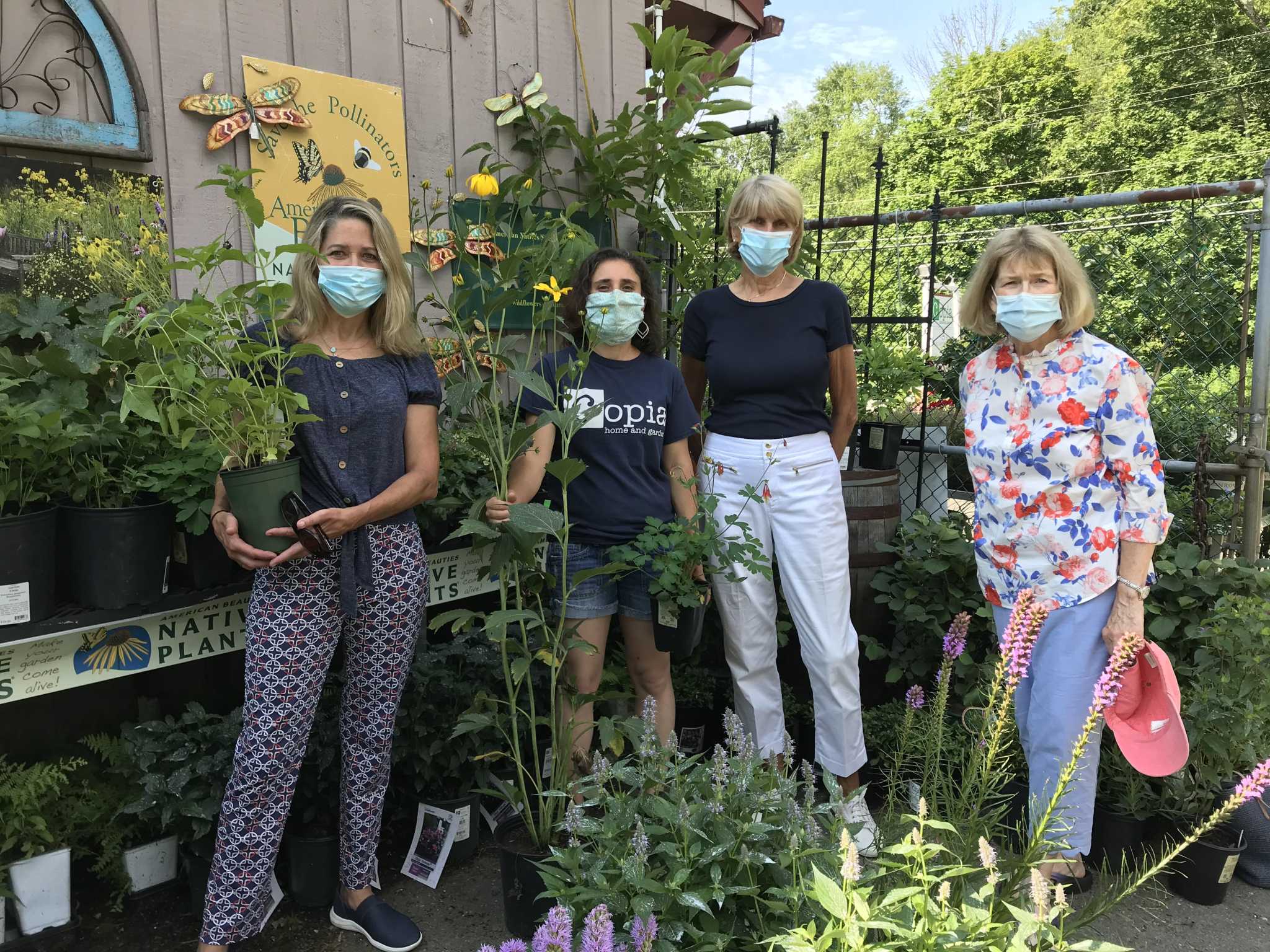 Pollinator Pathway partners launch native plant incentive