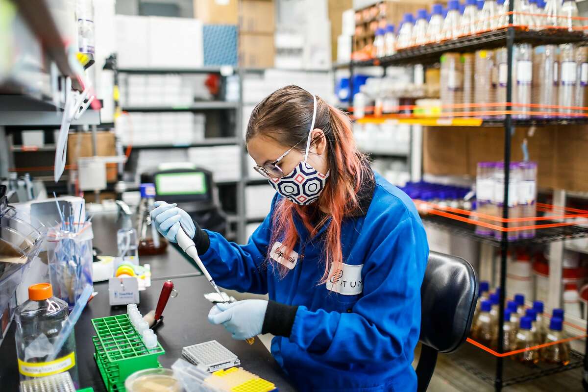 This Bay Area company thought it might not survive. Then it started ...