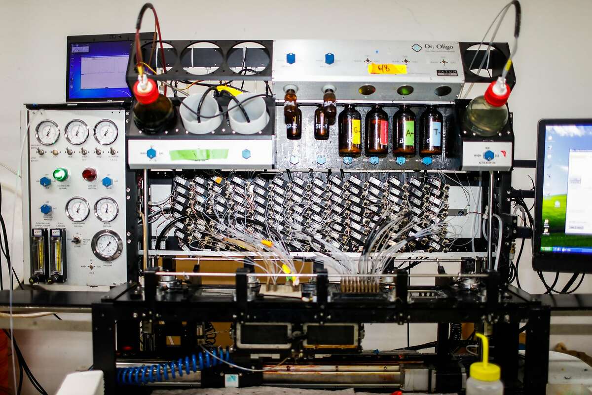 This Bay Area company thought it might not survive. Then it started ...