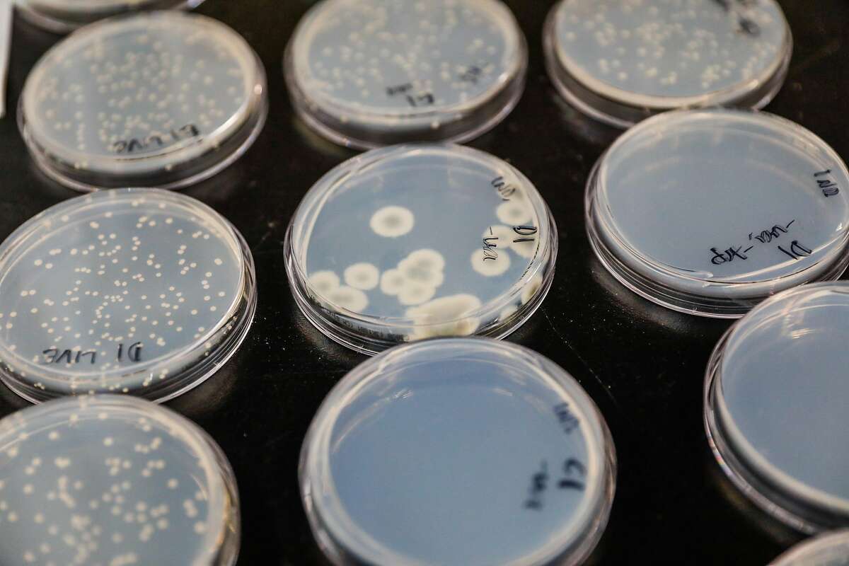 This Bay Area company thought it might not survive. Then it started ...