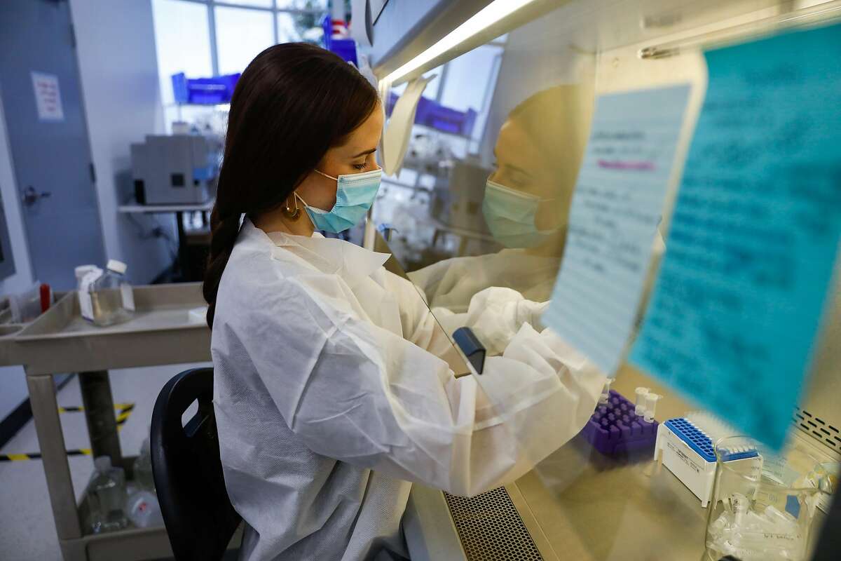 This Bay Area company thought it might not survive. Then it started ...