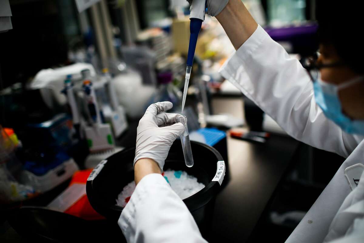 This Bay Area company thought it might not survive. Then it started ...