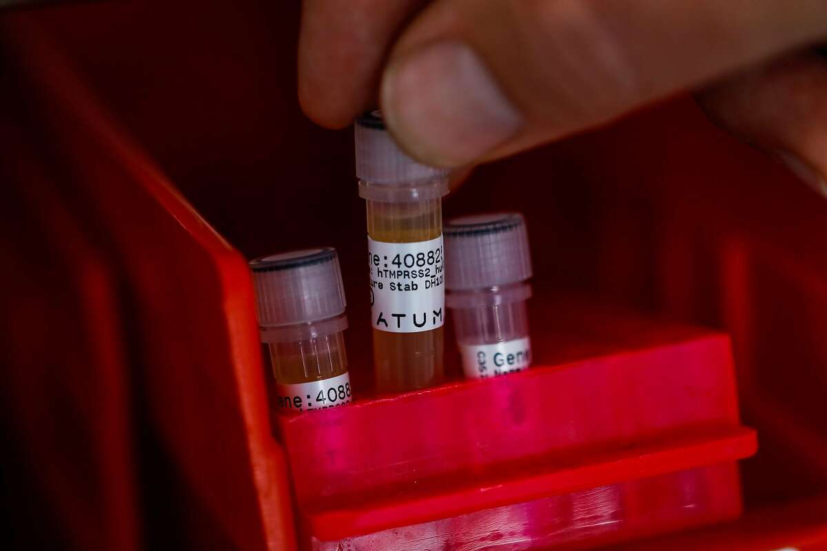 This Bay Area company thought it might not survive. Then it started ...