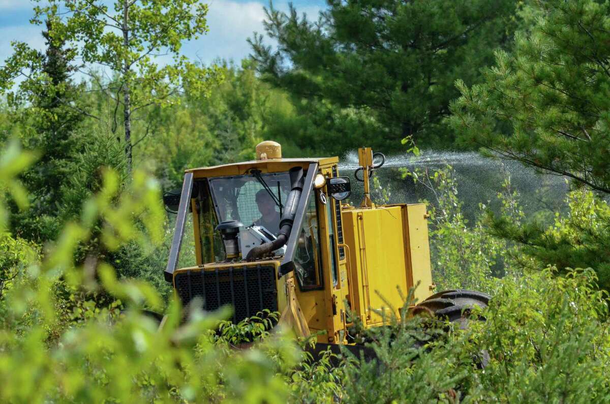 Showcasing the DNR: Herbicide helpful in managing state's forests