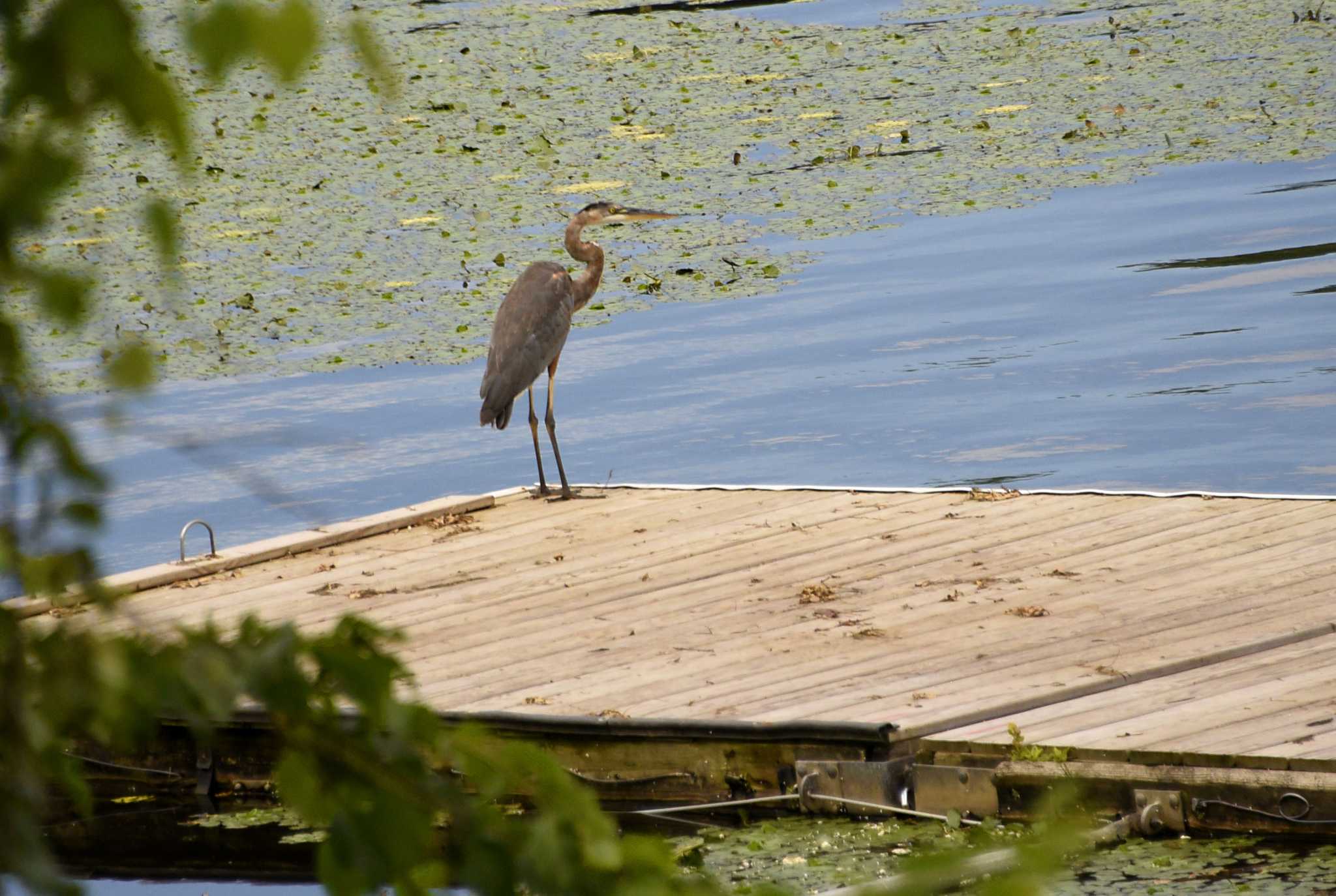 Jason Gough's forecast: Break from the humidity will not last