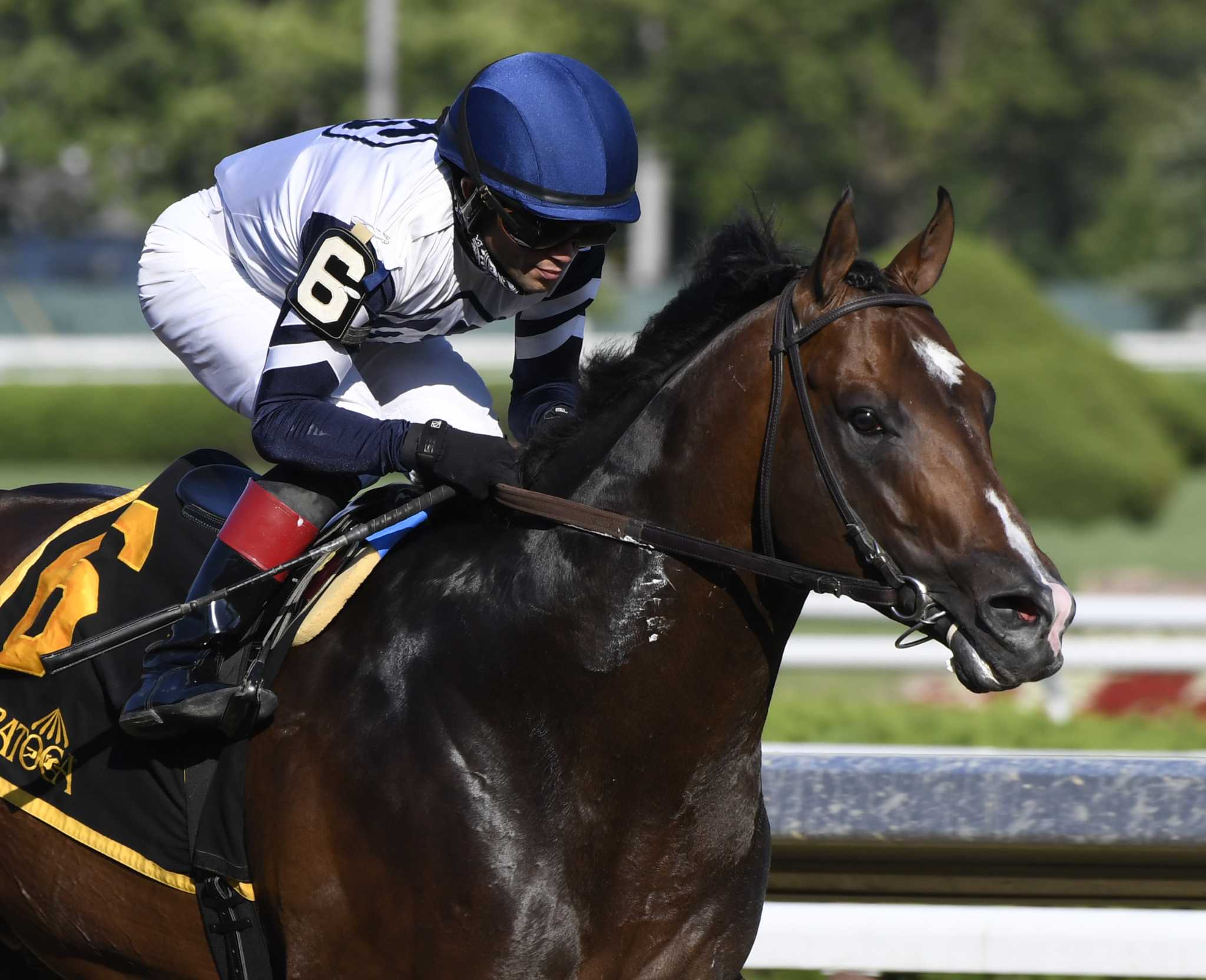 Eight Rings looks to regain form in Jerkens at Saratoga