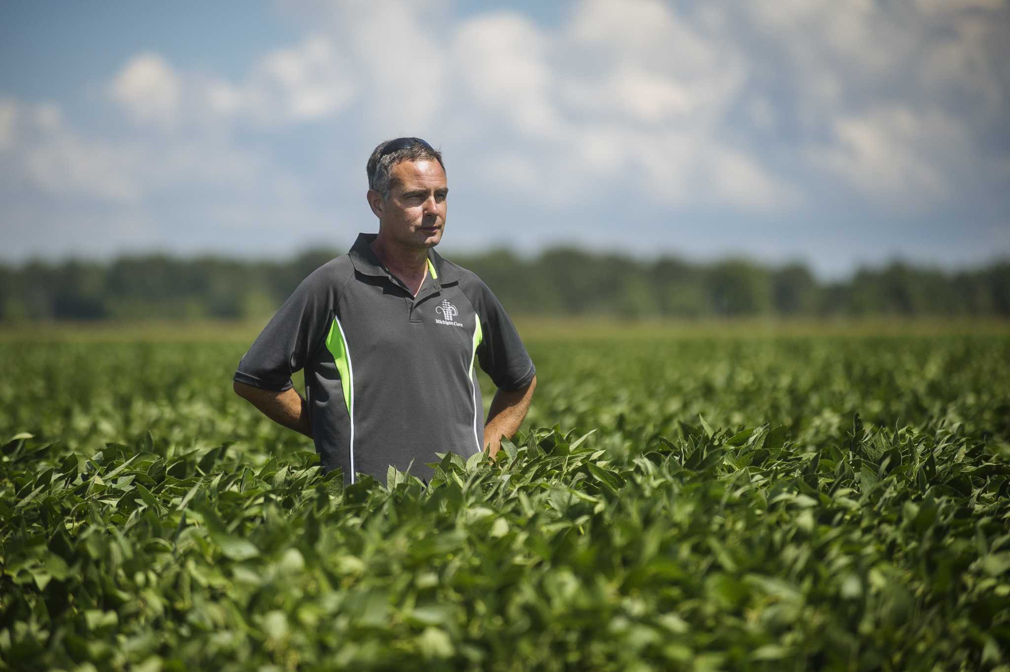 Midland County crops in good shape despite hectic summer