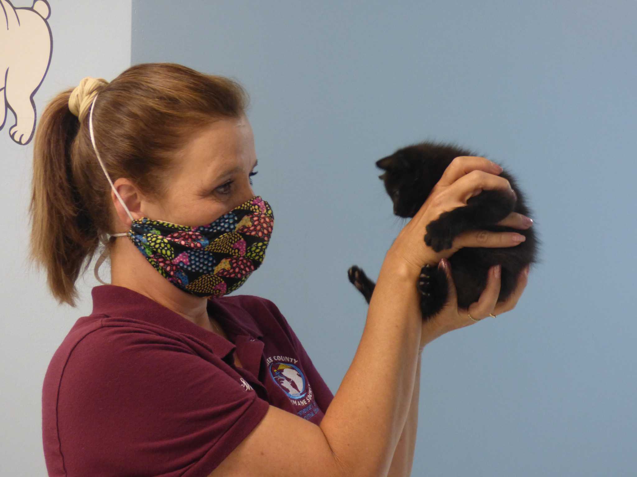 Homeward Bound Animal Shelter in need of support