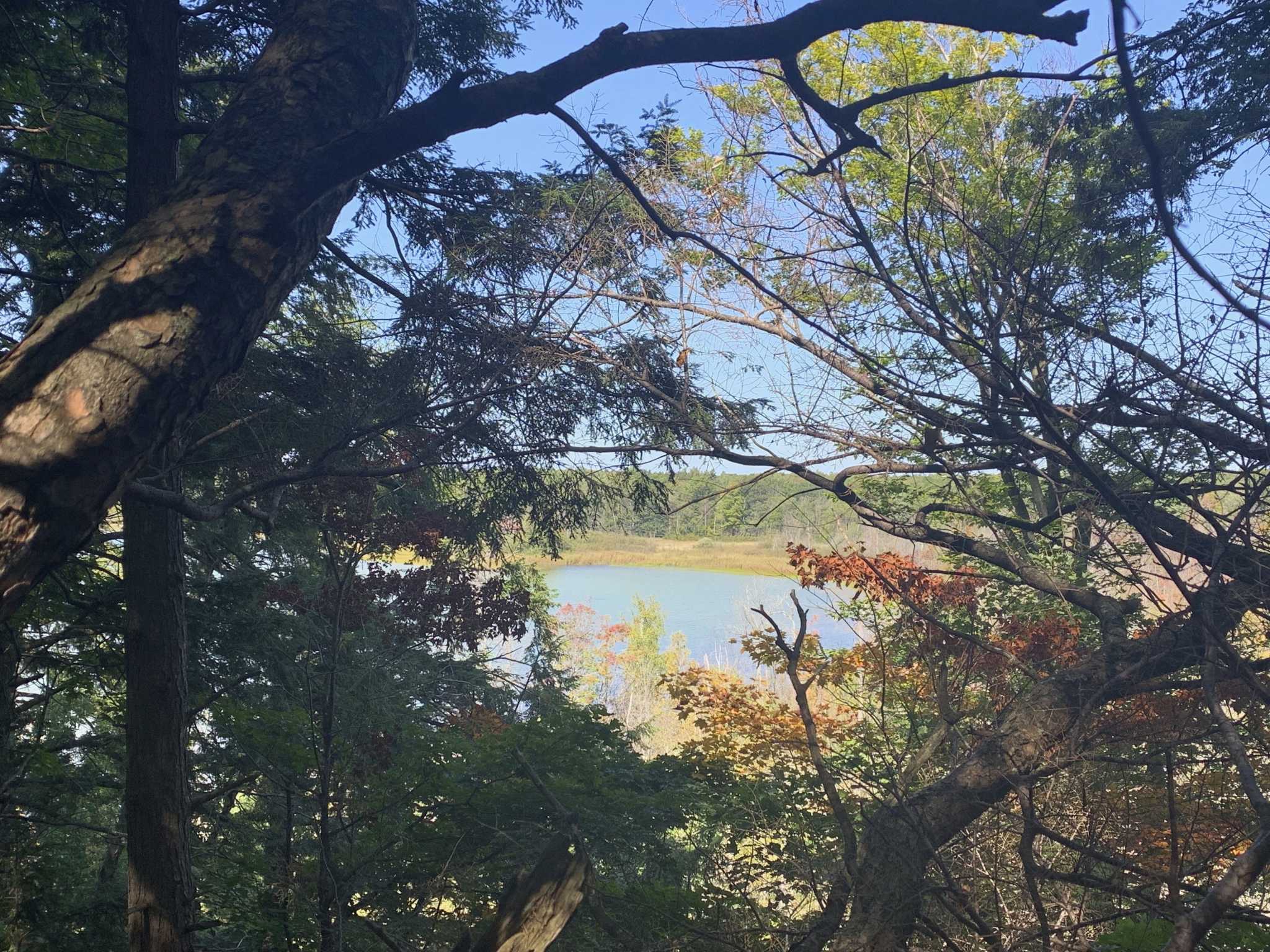 Preserve proposed to protect 166 acres in Platte Lake watershed