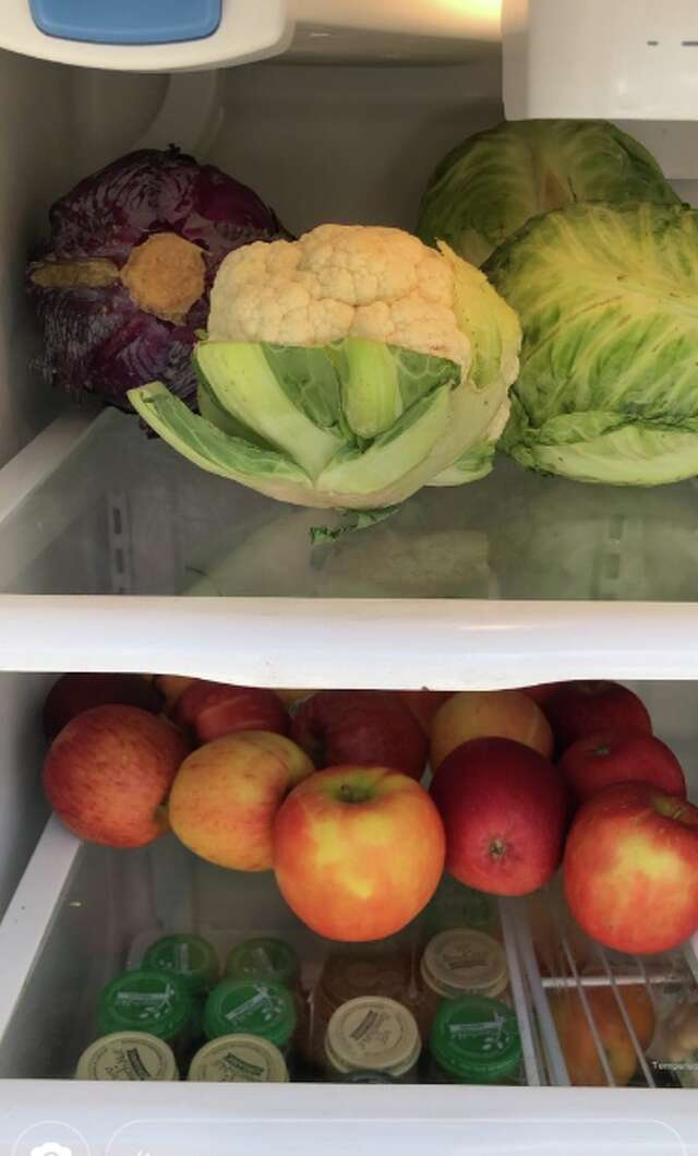 Downtown community fridge offers free fresh goods for those in need