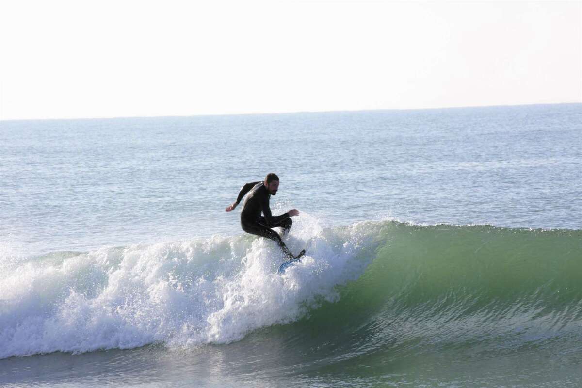 Discovery Channel’s Shark Week has competition this summer from ...