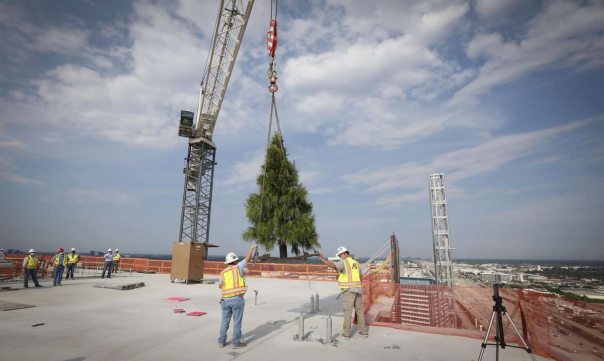 Christmas Tree Season Underway