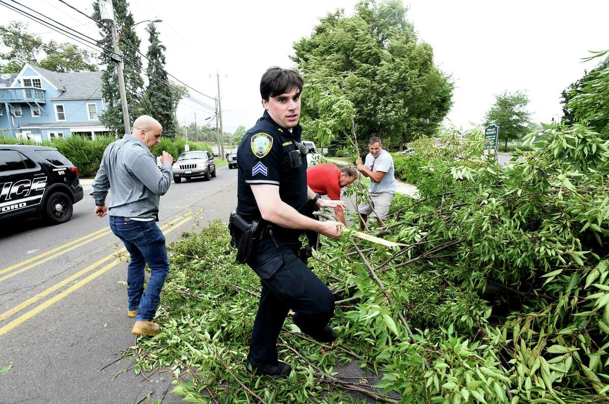 Police: Man killed by falling tree in Naugatuck