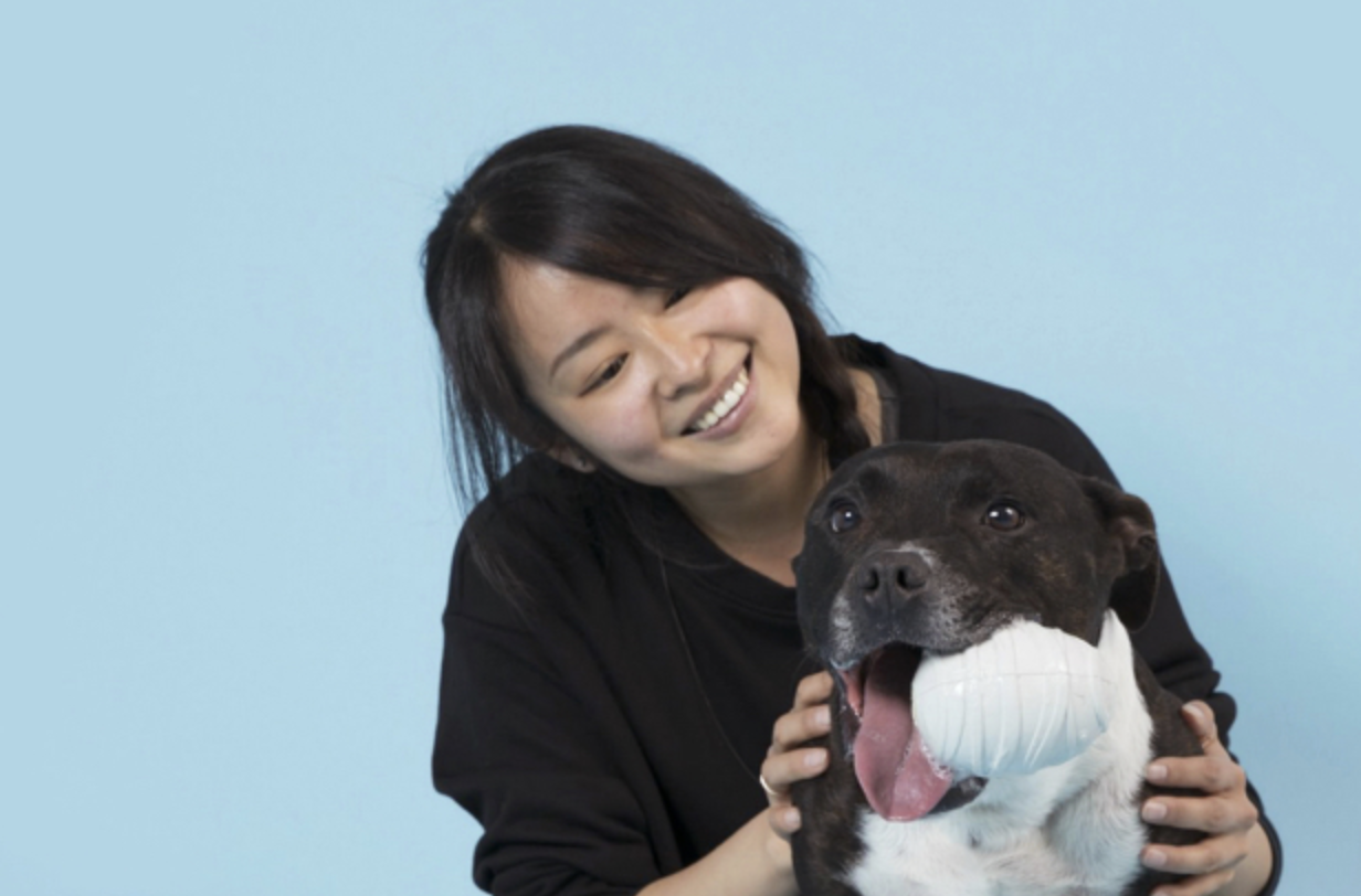 10 extra-tough toys for super chewer dogs