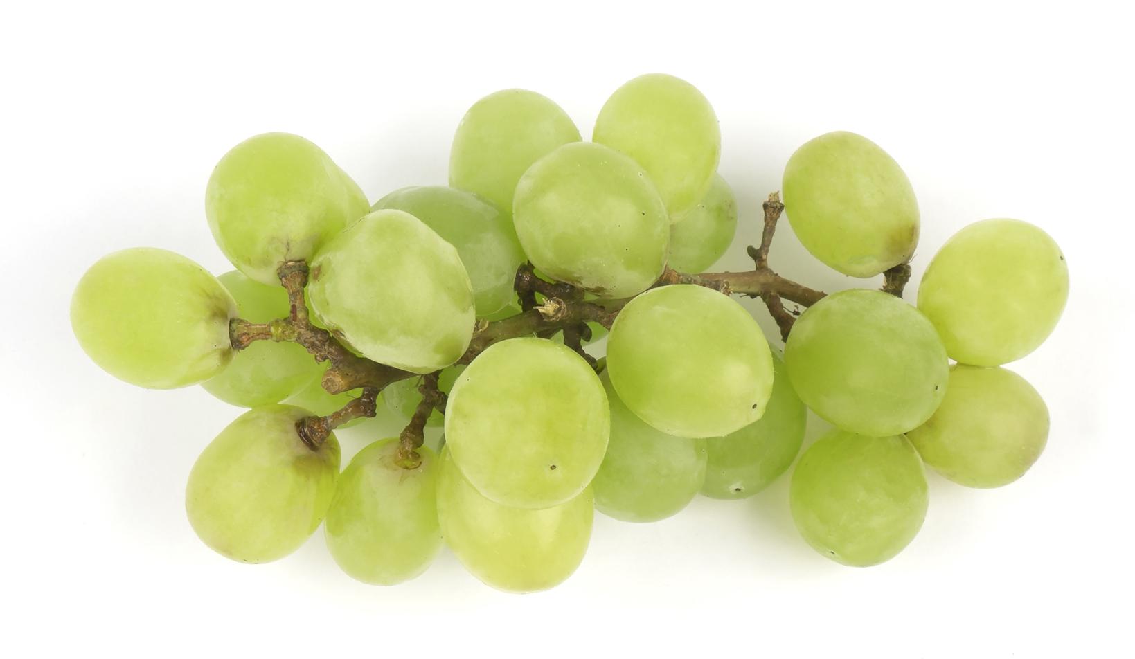 How to grow a grapevine to add drama to any garden