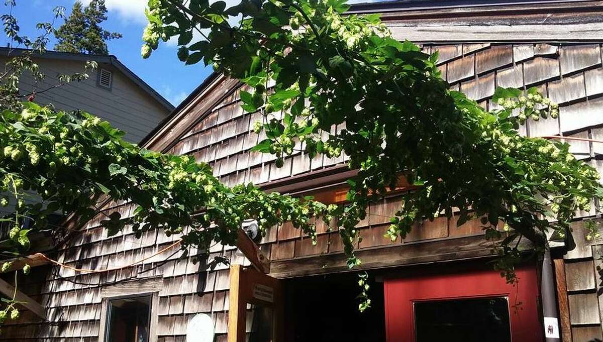 Pups, suds and grub: 16 dog-friendly bars, restaurants with patios in ...