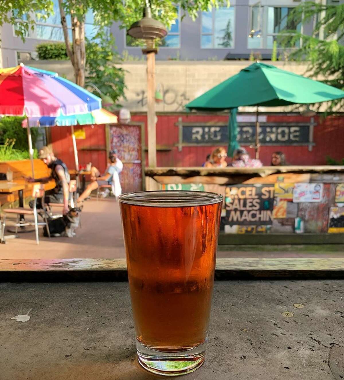 Pups, suds and grub: 16 dog-friendly bars, restaurants with patios in ...