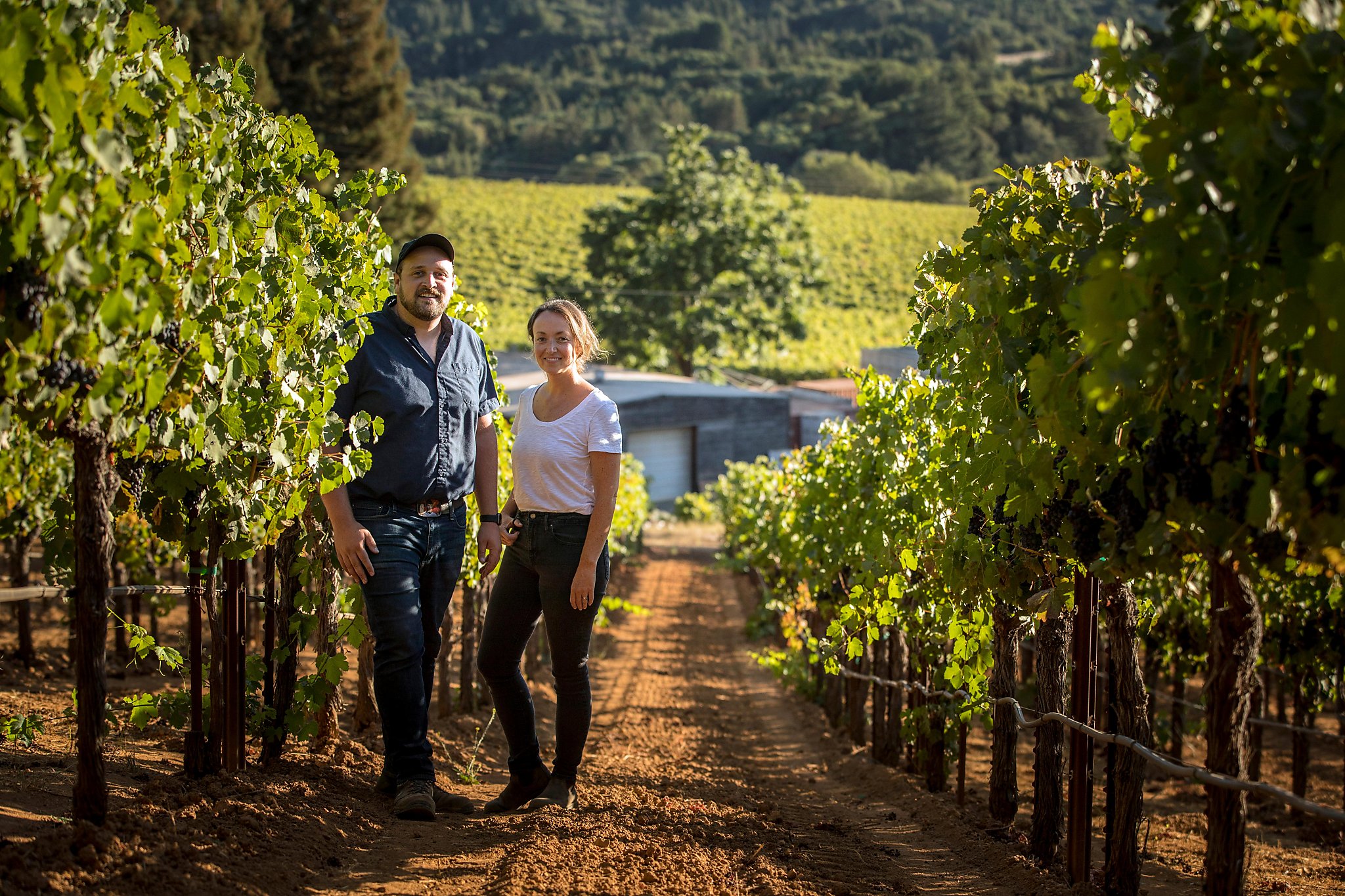 Petite Sirah, one of California’s most maligned wines, gets a lighter ...