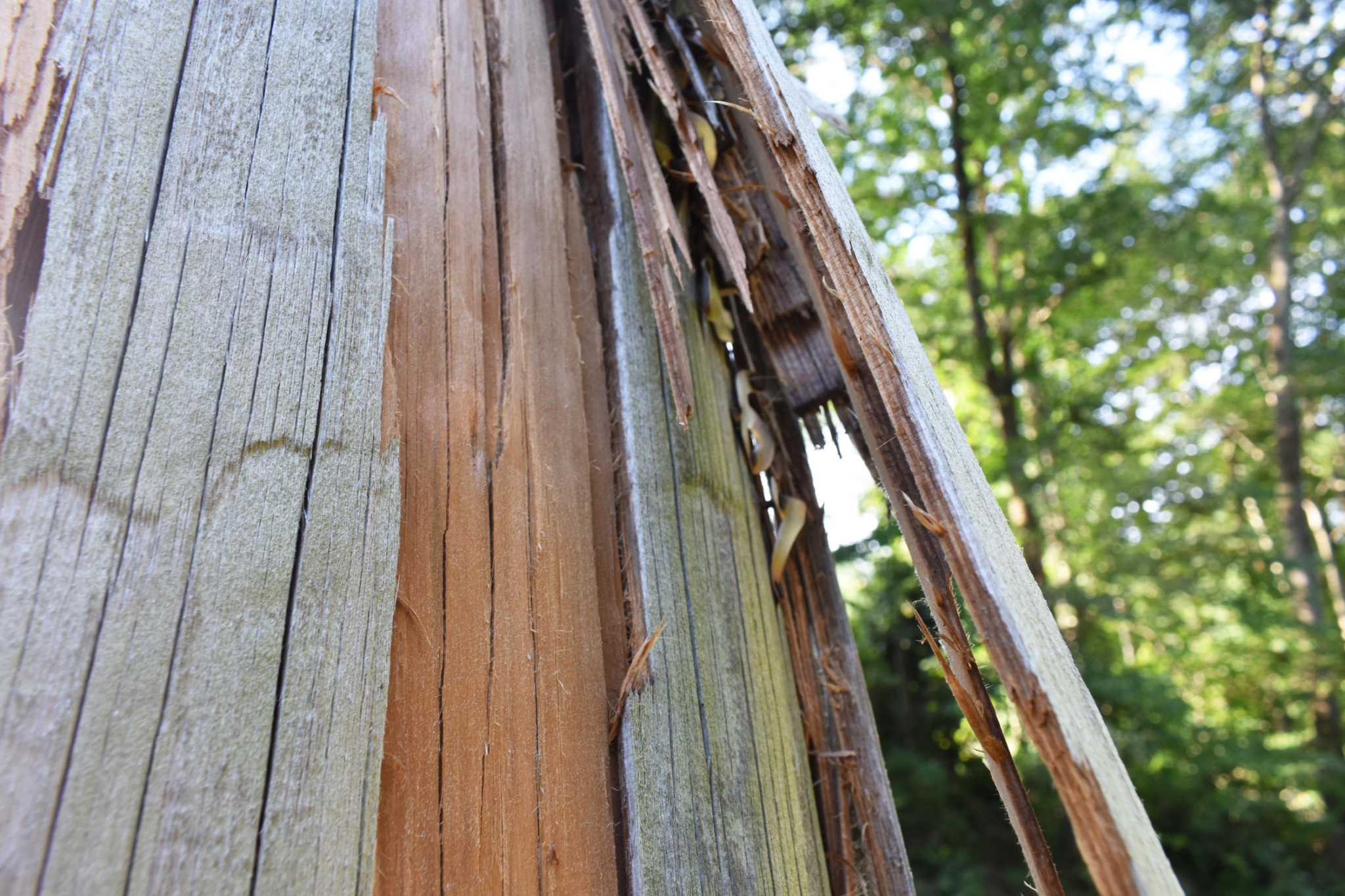 Overhead, underground or boots on the ground: Hardening the grid would ...