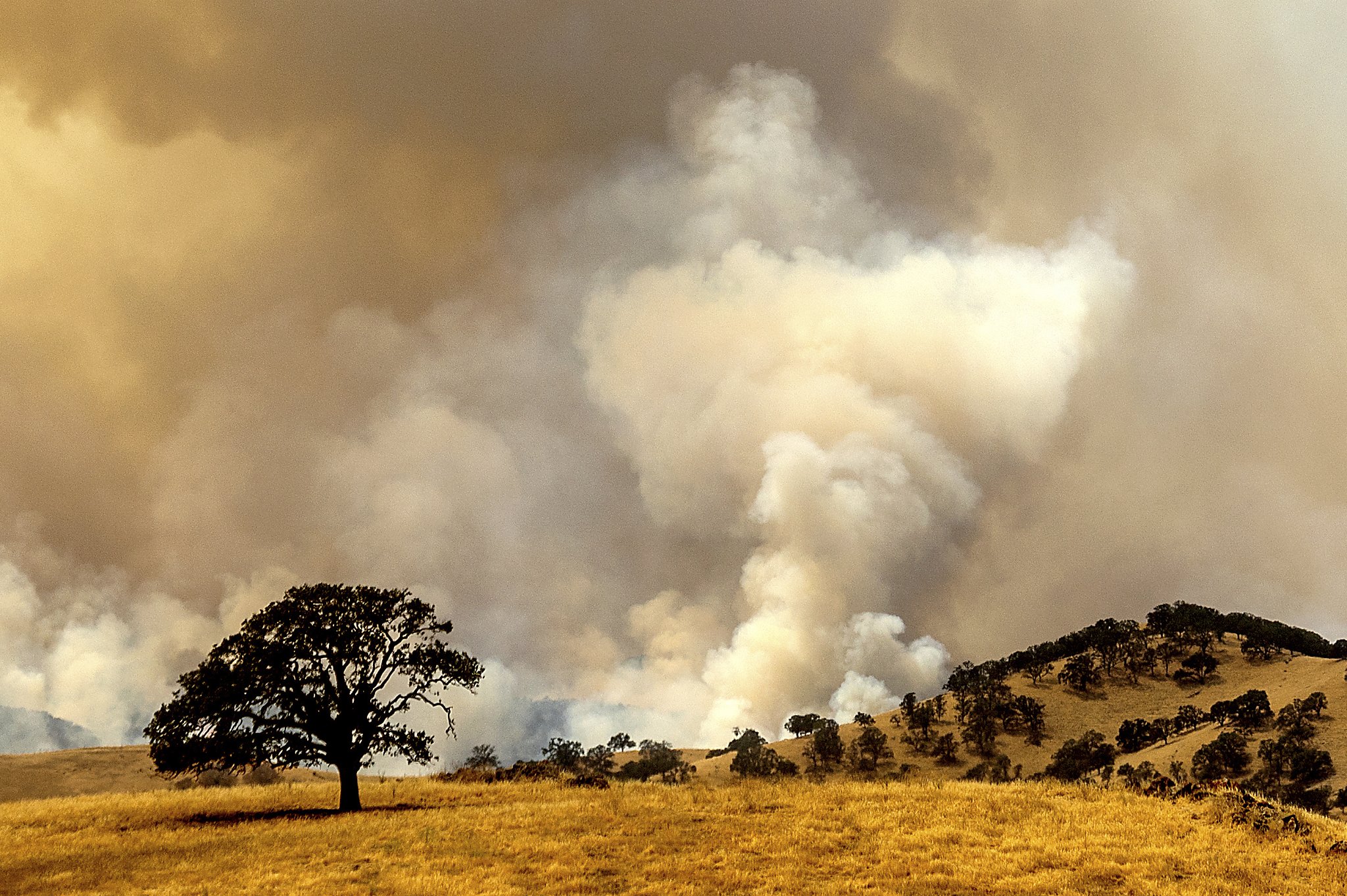 Mt. Diablo wildfire grows to 1,160 acres, triggers evacuations