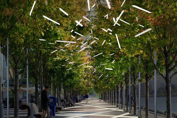 Discovery Green unveils new tree-lined alley with 70 LED light fixtures