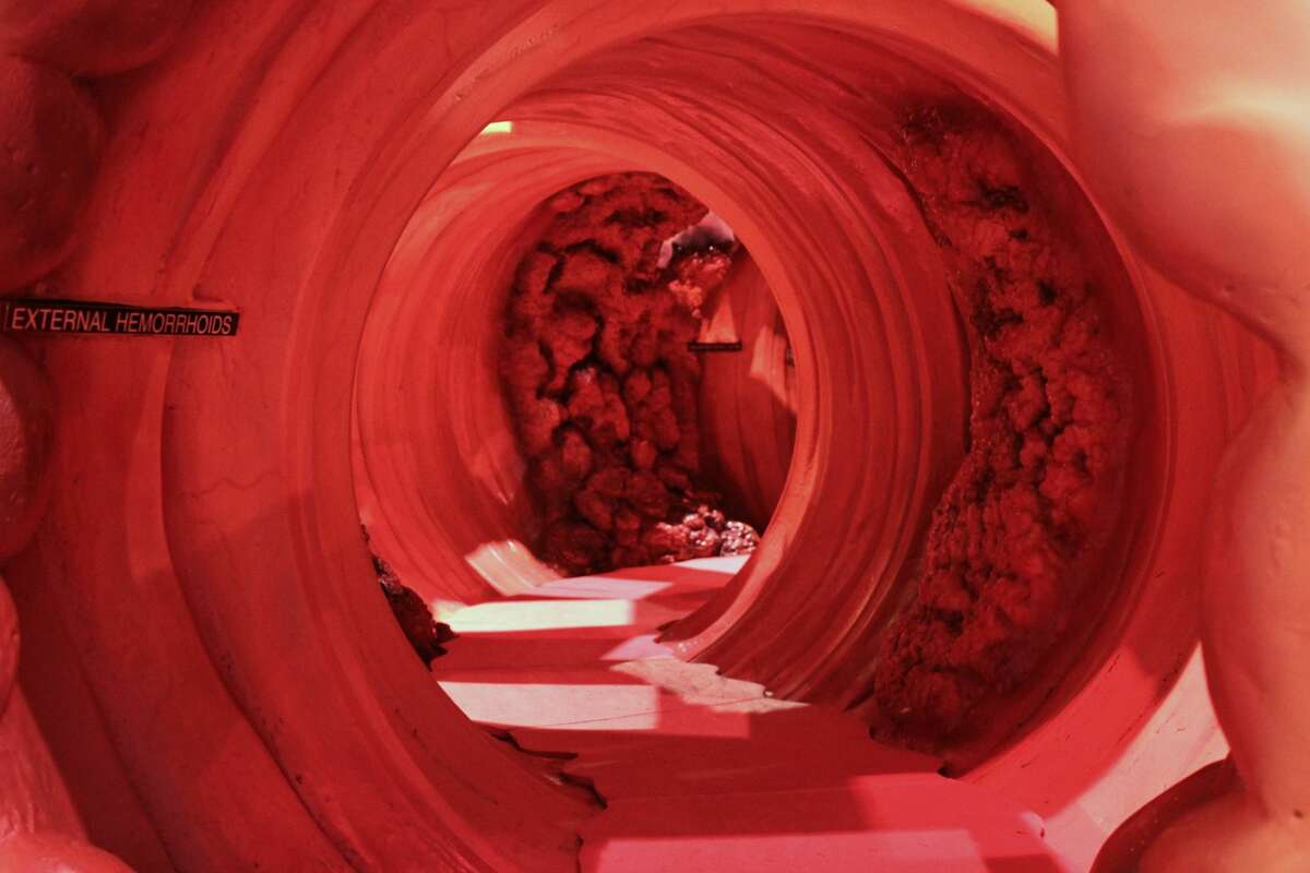 The Health Museum and its giant heart will once again be available to ...