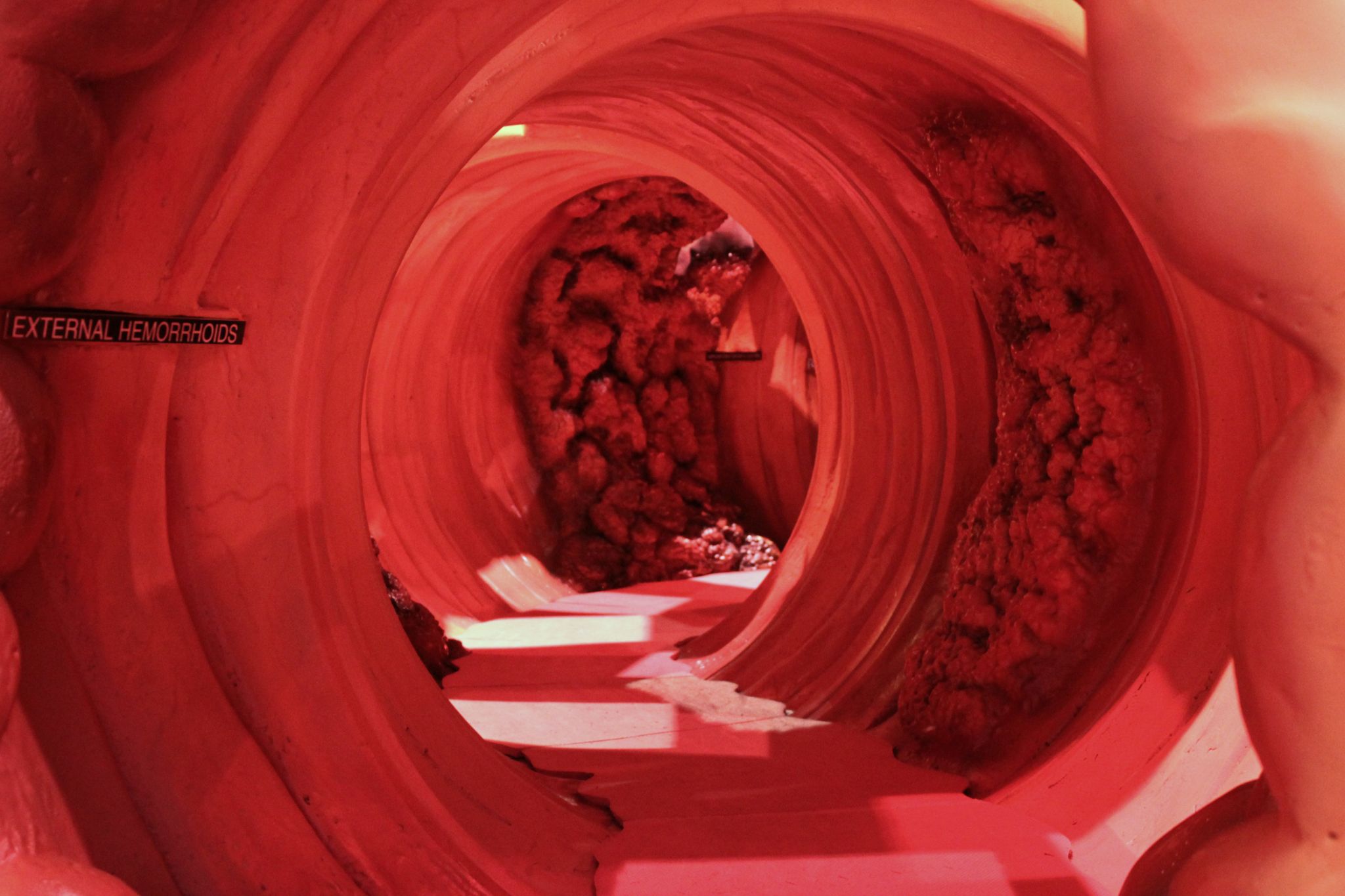 The Health Museum and its giant heart will once again be available to ...