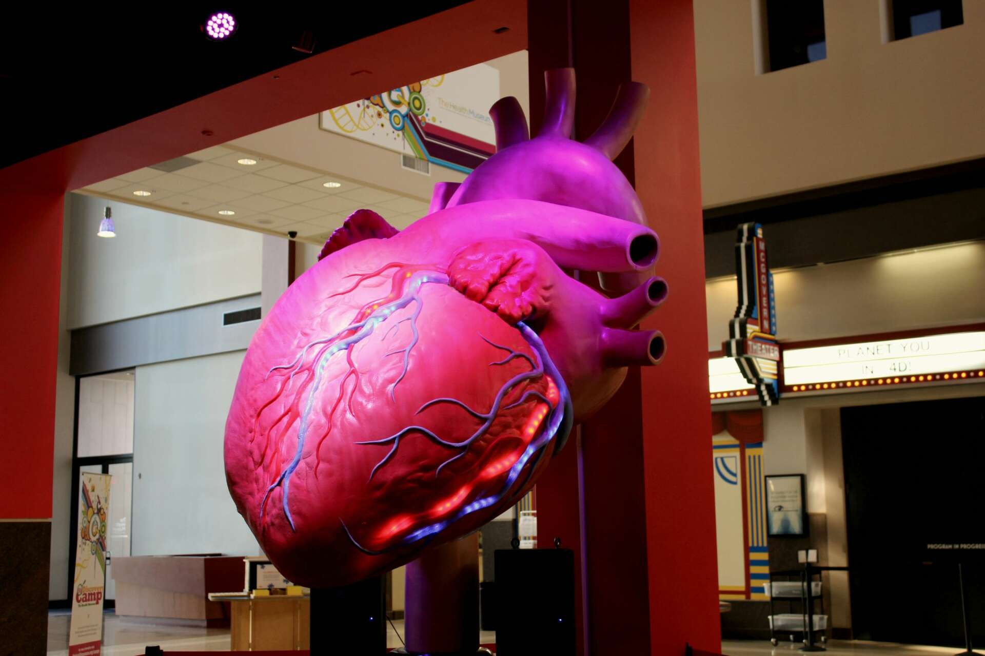 The Health Museum: All to know about this interactive museum