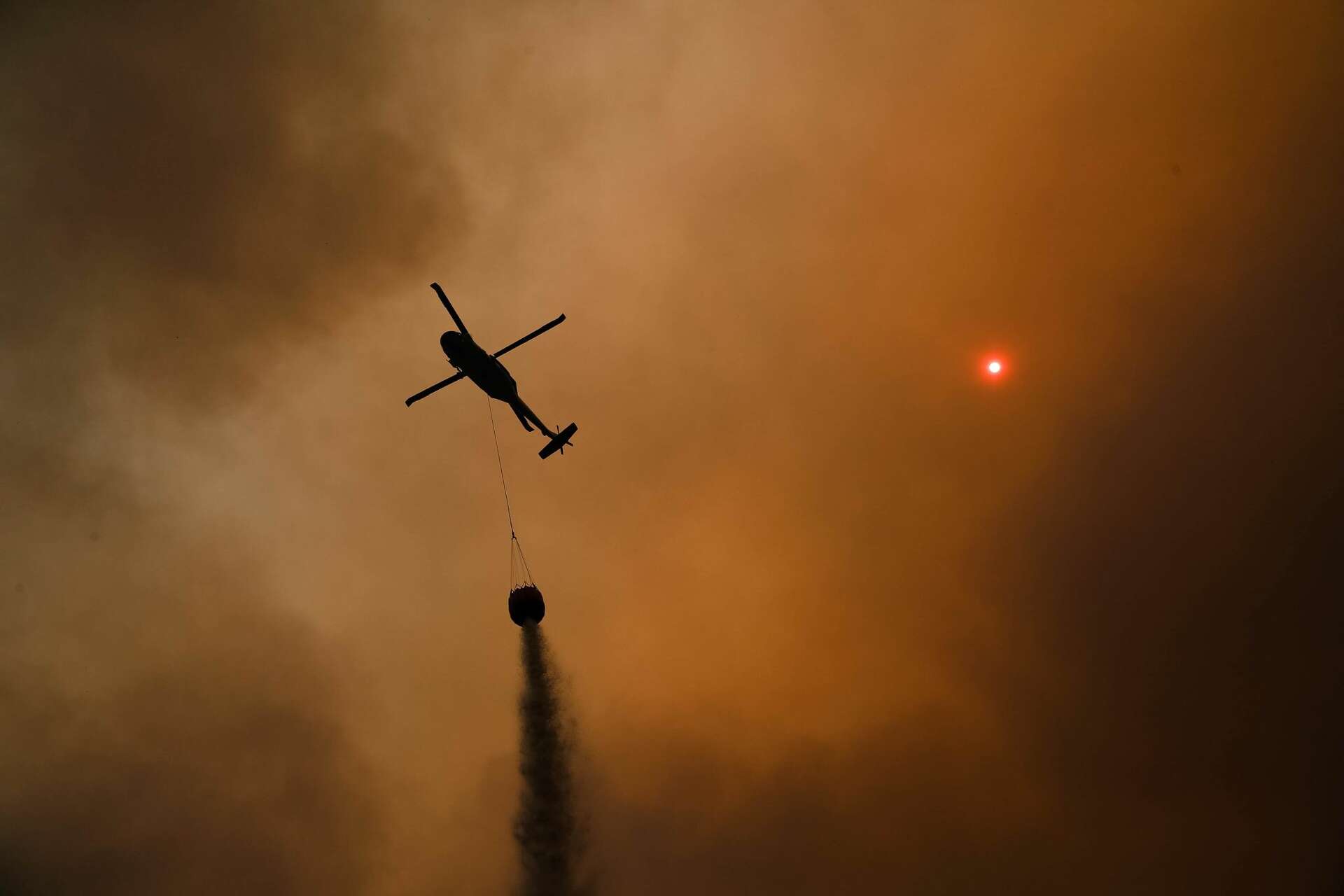 UC Santa Cruz campus, Scotts Valley under mandatory evacuation
