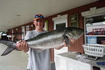 Greatest Bluefish Tournament on Earth expands to Block Island Sound