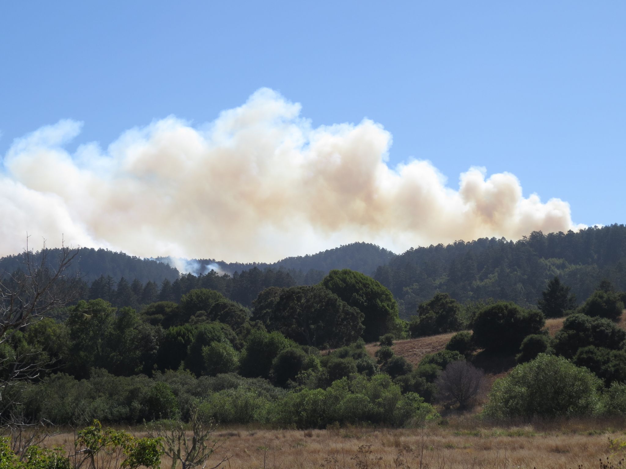 Firefighter says she was burgled while responding to Point Reyes wildfire