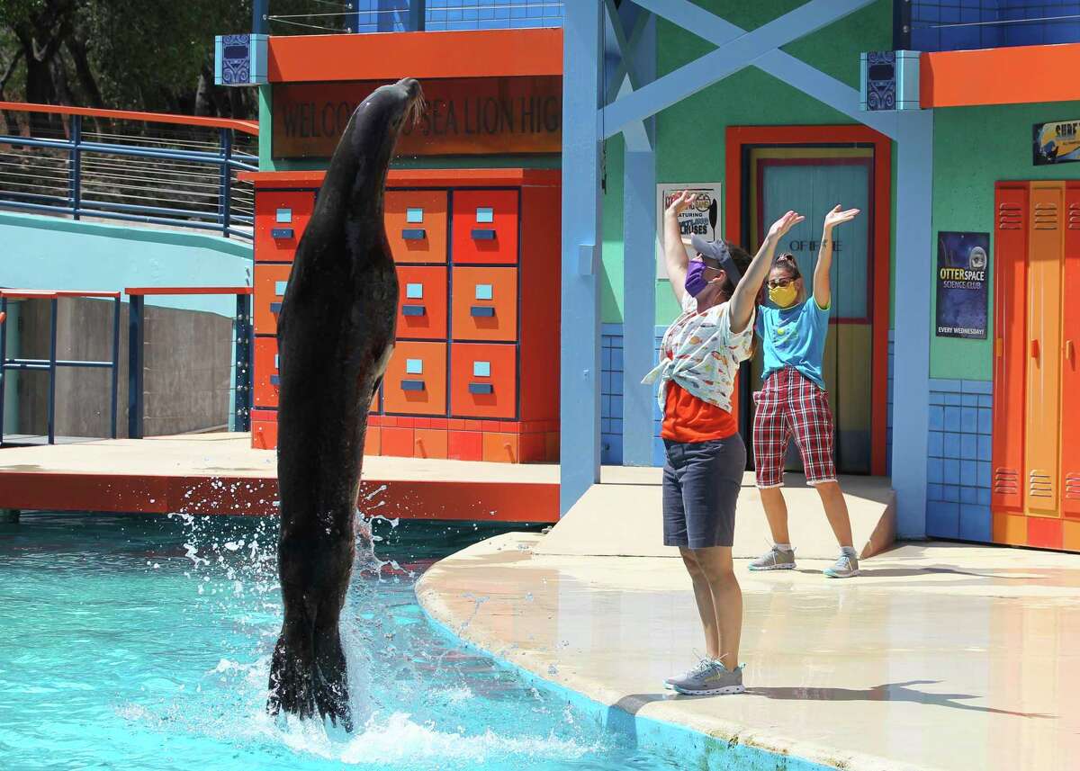 SeaWorld, Six Flags are open for business — with smaller crowds and ...